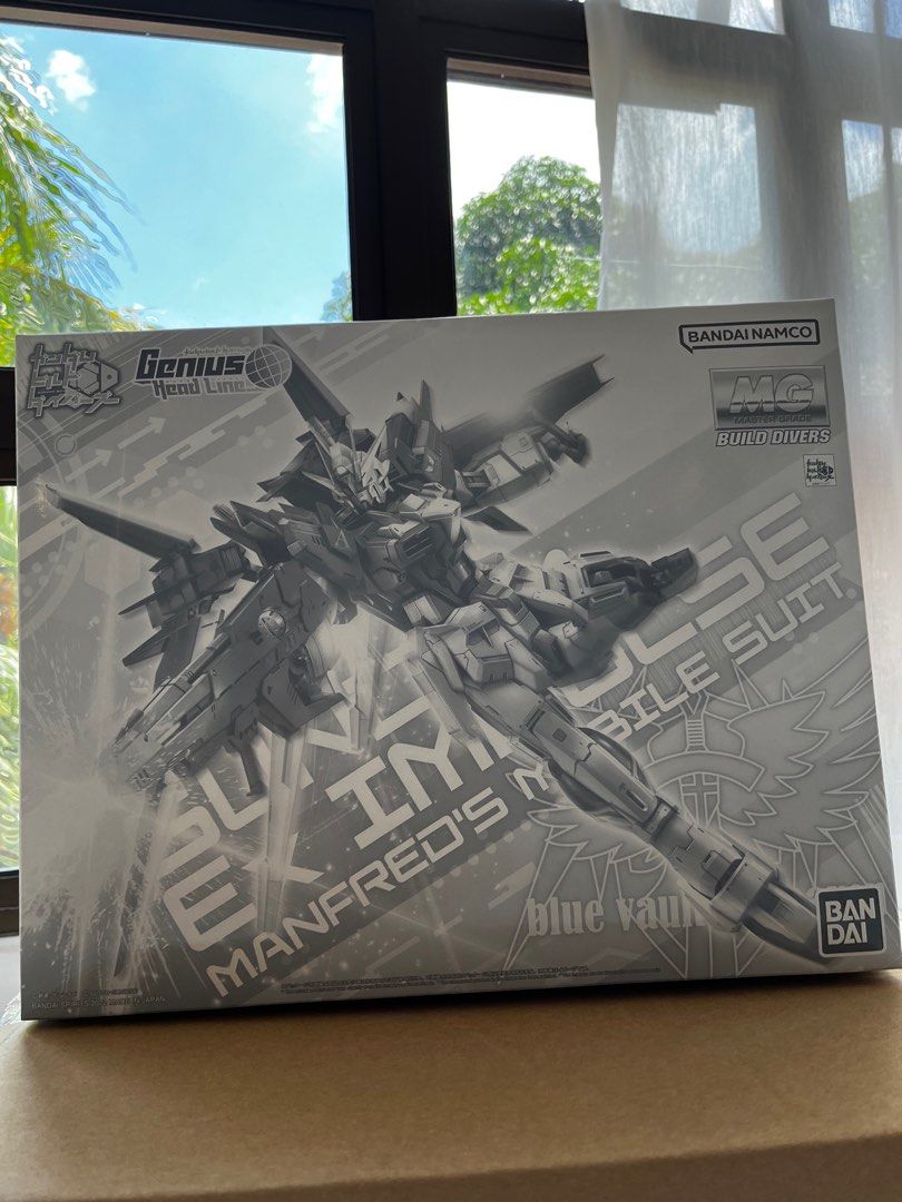 Gundam EX Impulse MG, Hobbies & Toys, Toys & Games on Carousell
