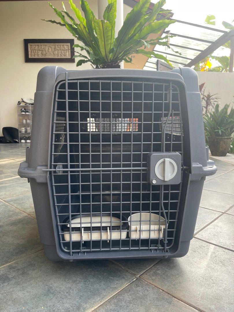 IATA approved Pet Travel Crate (80x57x60cm), Pet Supplies, Homes ...
