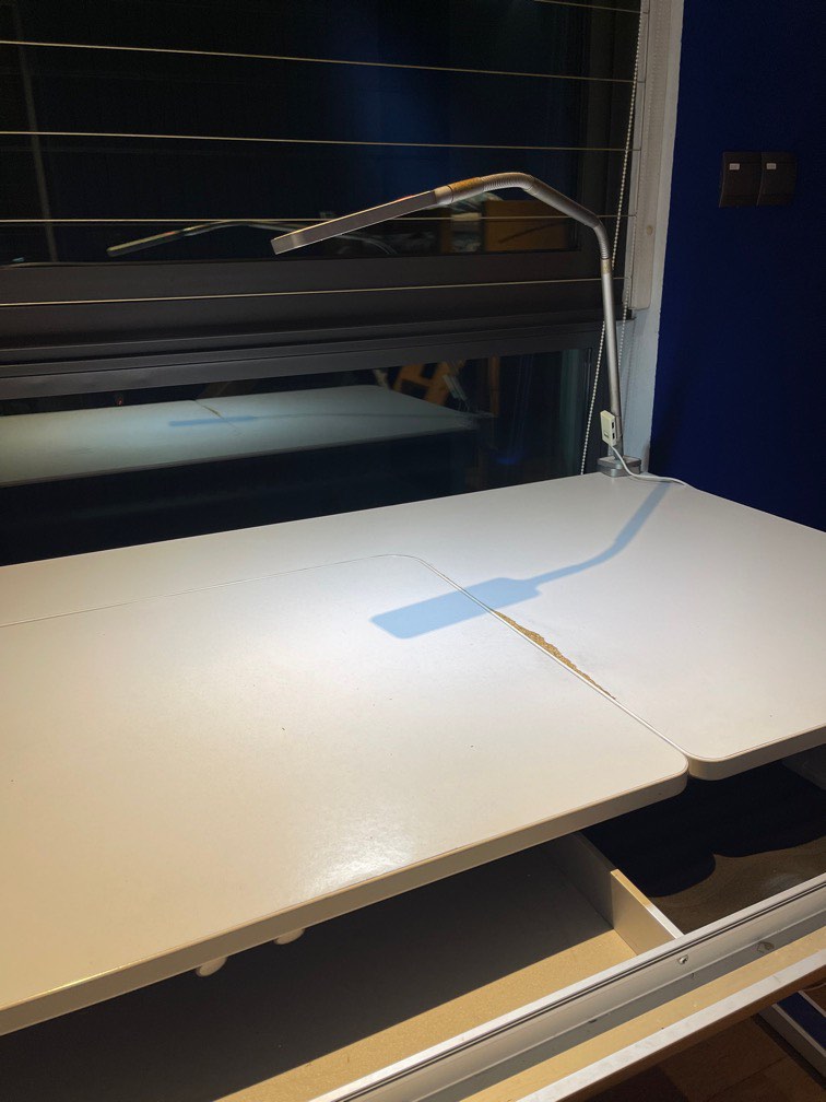 Moll ergo desk - well used and outgrown, Furniture & Home Living ...