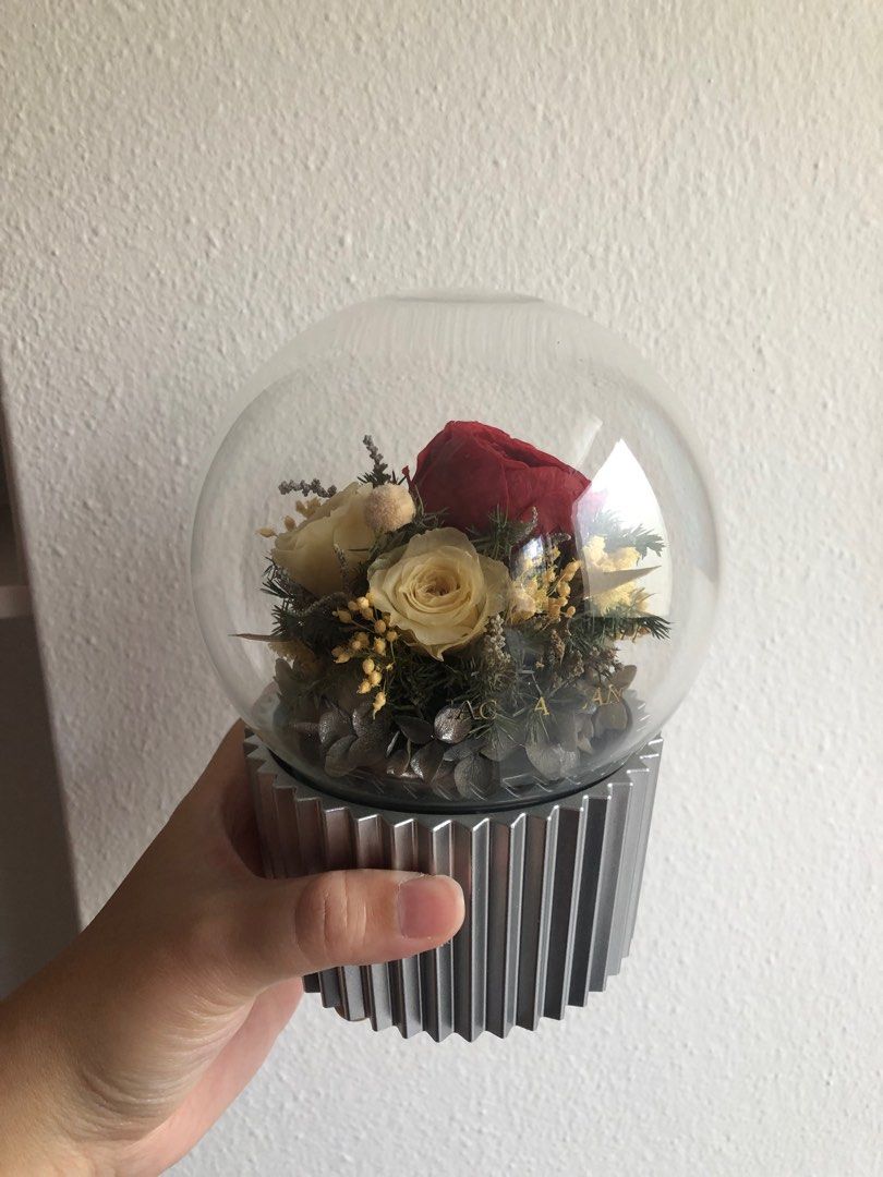 Preserved flower music box, Hobbies & Toys, Stationery & Craft, Flowers ...