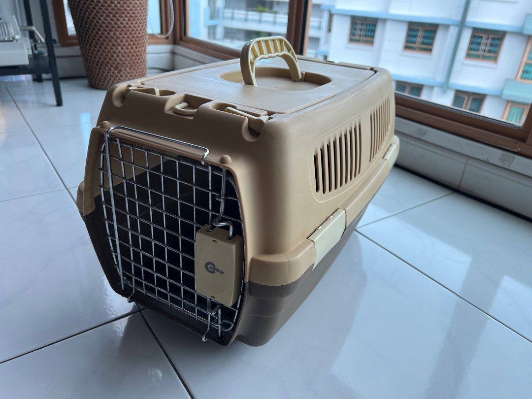 Rabbit Carrier, Pet Supplies, Homes & Other Pet Accessories on Carousell
