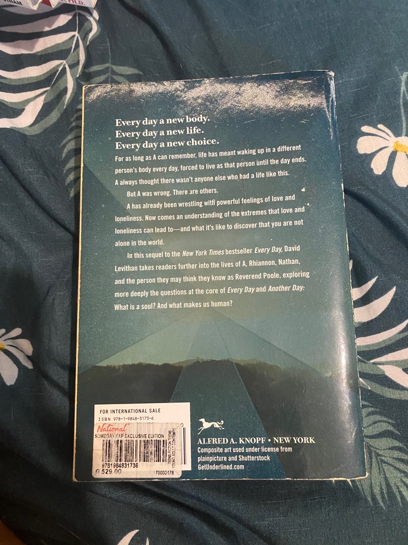 Someday by David Levithan, Hobbies & Toys, Books & Magazines, Fiction ...