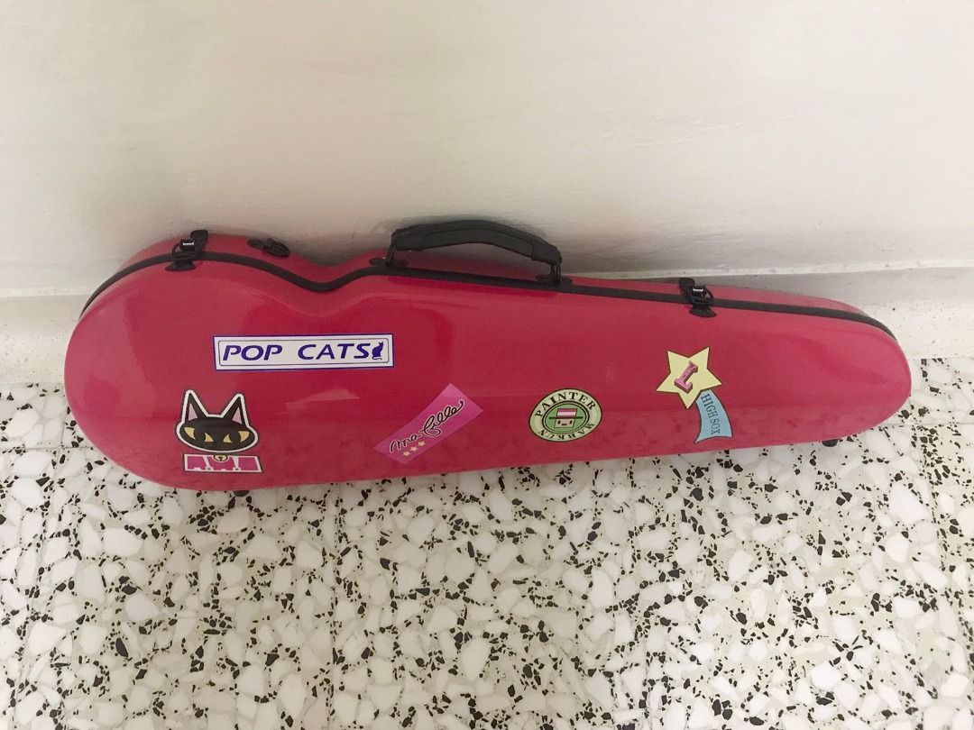 Violin Case, 4/4, Kaori Miyazono, Hobbies & Toys, Music & Media, Musical Instruments on Carousell