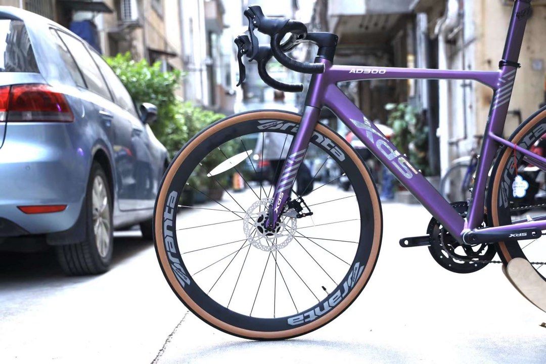 2023 XDS AD300 Alu frameset 9x2 18 speed Sensah |purple & chameleon ...