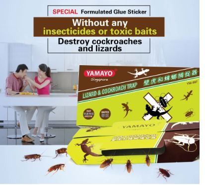 10pcs Lizard Trap Sticker Cockroach Glue Catcher || Non-toxic Sticky ...