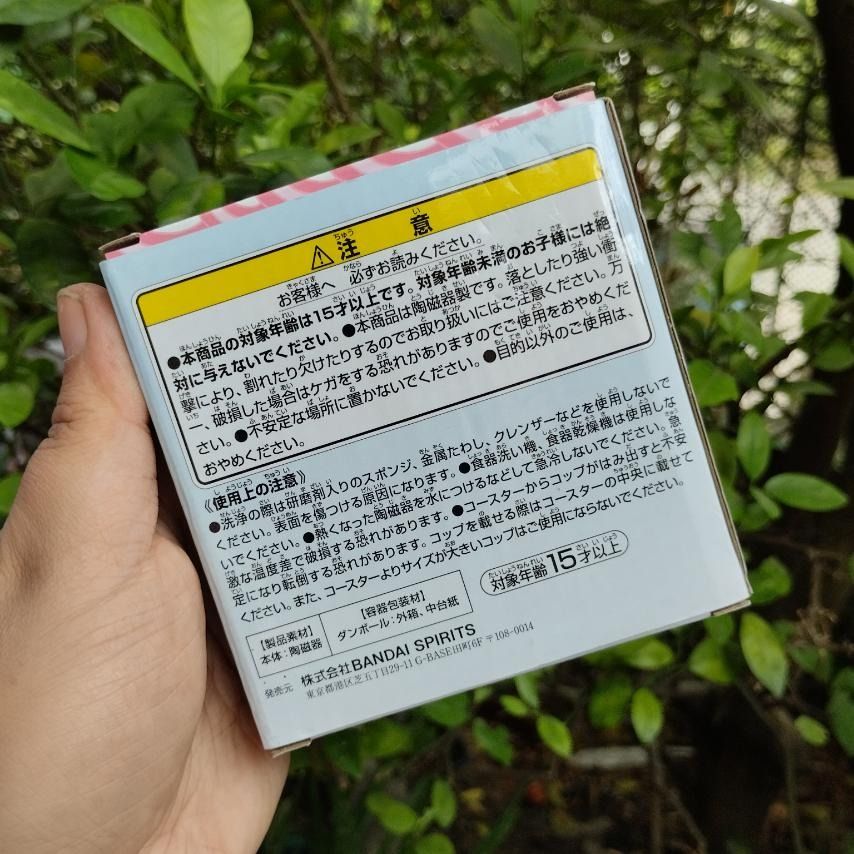 Bandai Ichiban Kuji One Piece Nico Robin glass plates, Hobbies & Toys ...