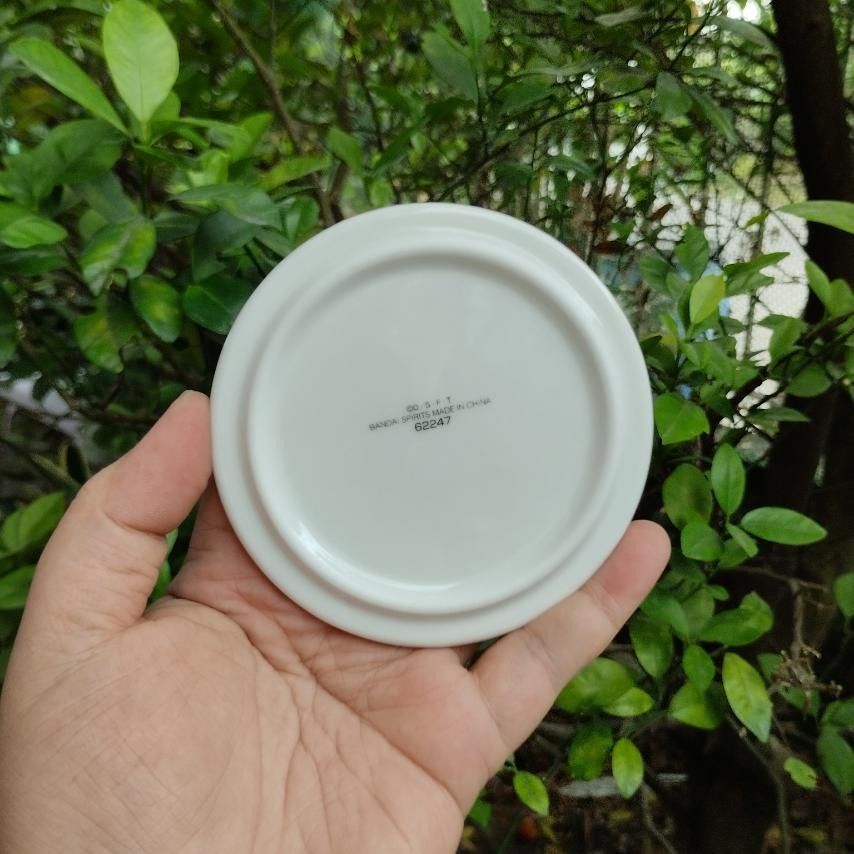 Bandai Ichiban Kuji One Piece Nico Robin glass plates, Hobbies & Toys ...