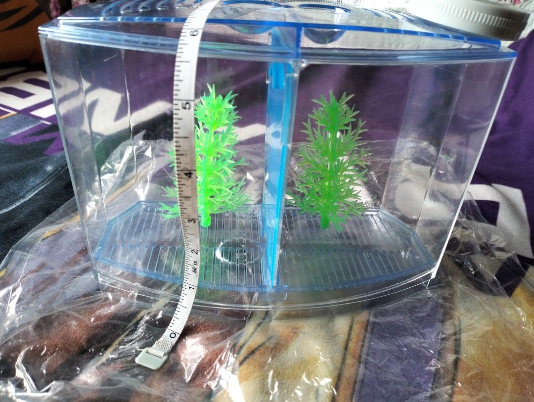 BETTA HOUSE DOUBLE AQUARIUM on Carousell