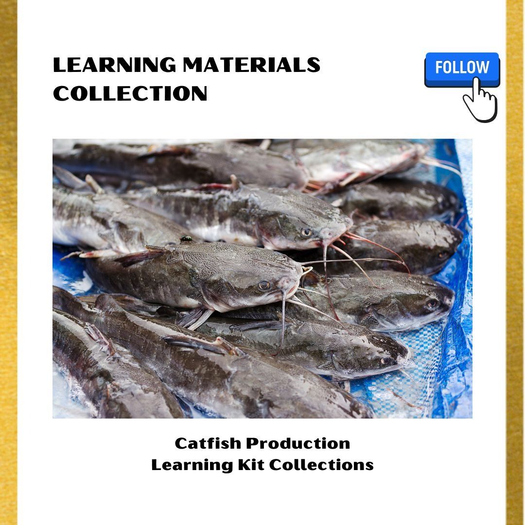 Catfish / Hito Production Printable Learning Materials, Food Production ...
