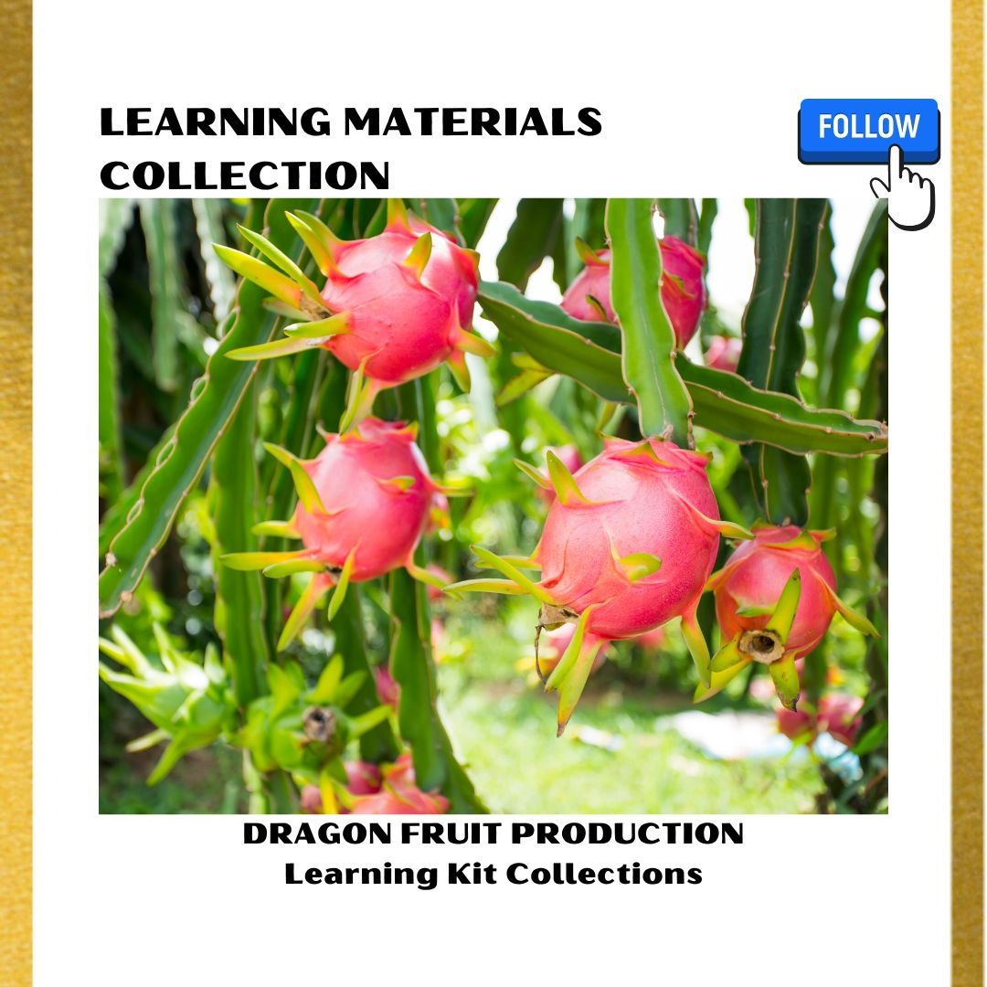 DRAGON FRUIT PRODUCTION, Printable Learning Materials, Food Production ...