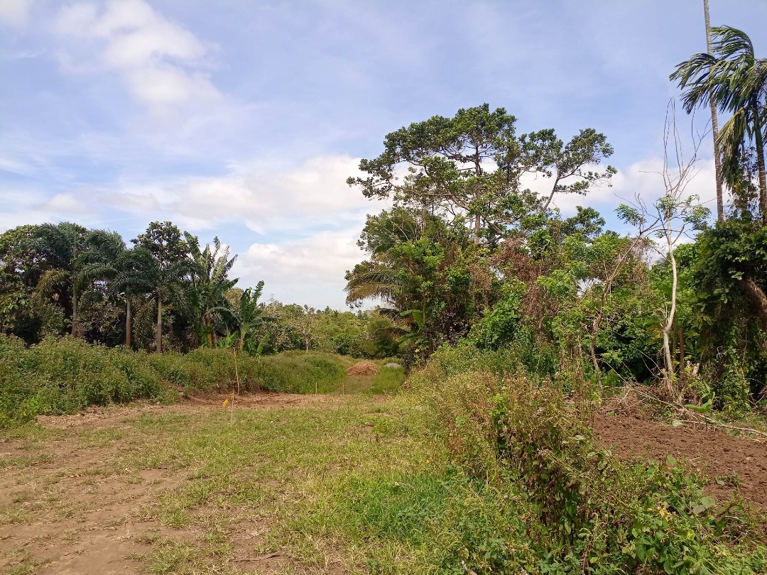 FARM LOT FOR SALE LOCATED IN ALFONSO CAVITE, Property, For Sale, Lot on Carousell