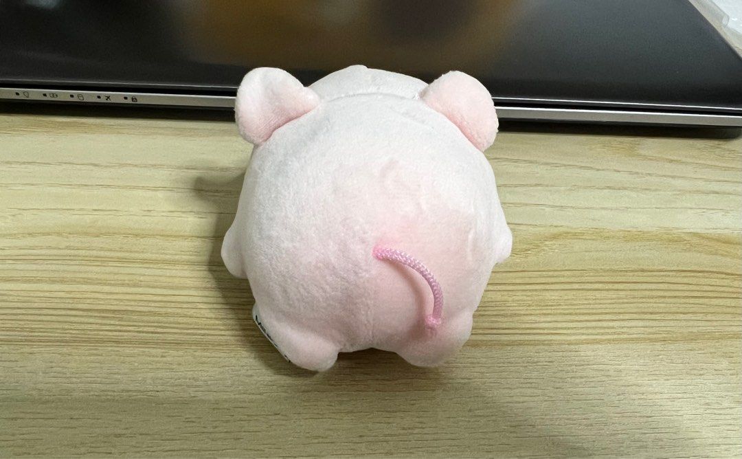 Miniso Piggy Squishy plush stress ball, Hobbies & Toys, Toys & Games on ...
