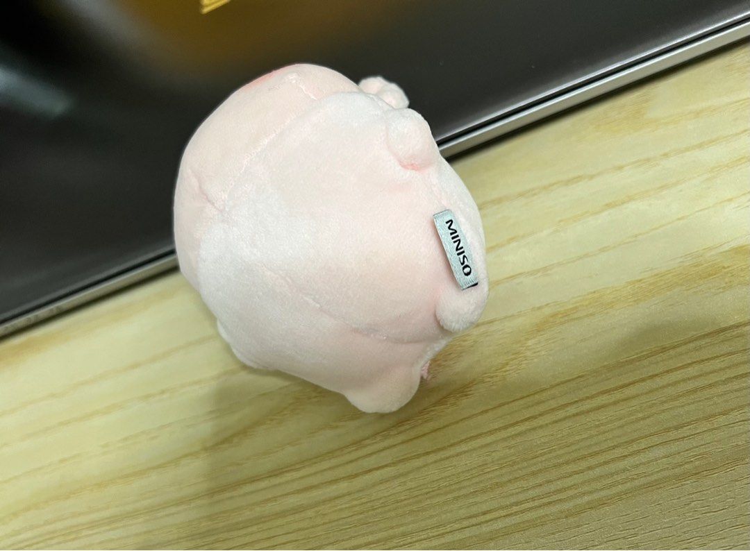 Miniso Piggy Squishy plush stress ball, Hobbies & Toys, Toys & Games on ...