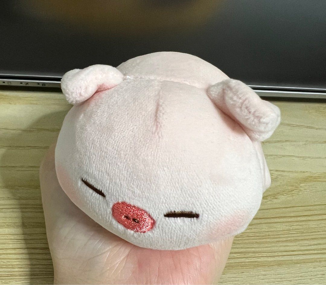 Miniso Piggy Squishy plush stress ball, Hobbies & Toys, Toys & Games on ...