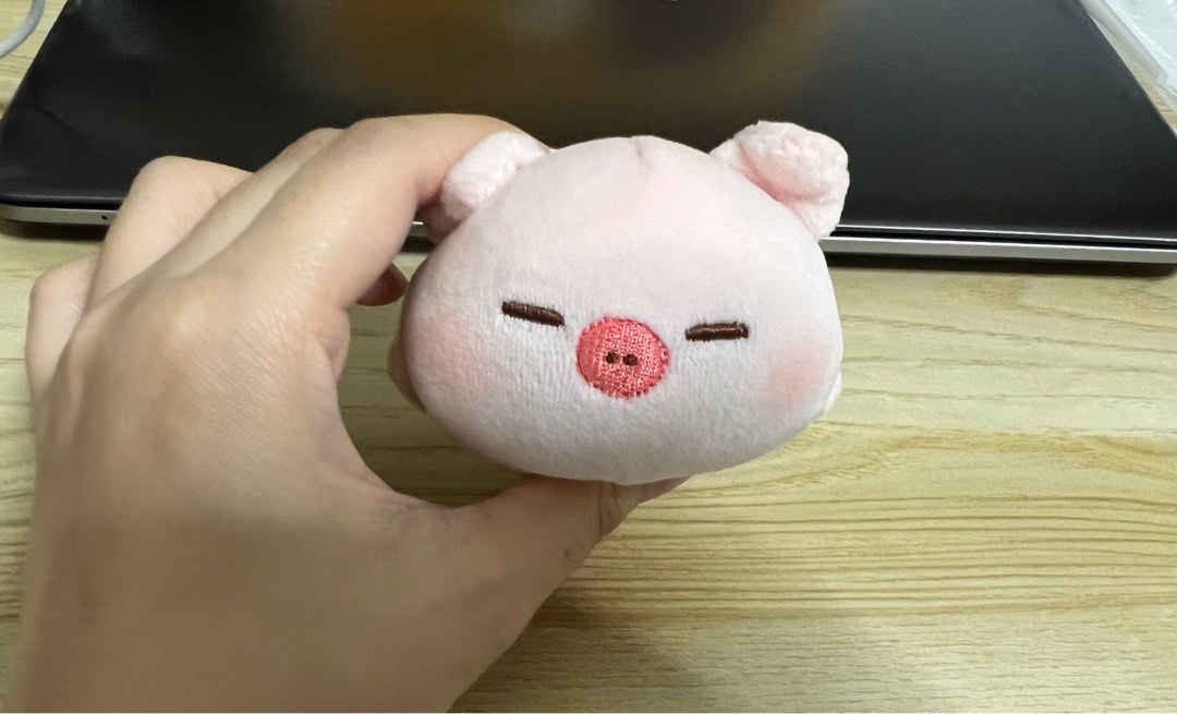 Miniso Piggy Squishy plush stress ball, Hobbies & Toys, Toys & Games on ...