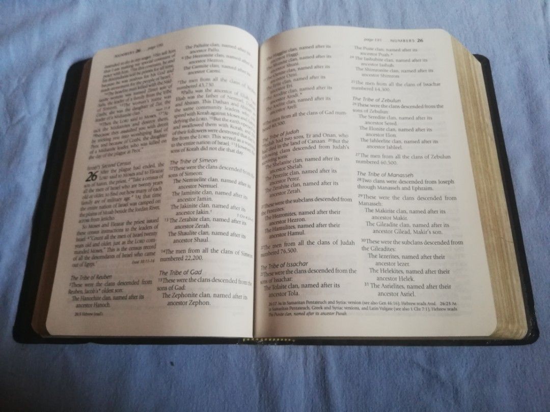 New Living Translation Bible: Large Print Edition, Hobbies & Toys ...