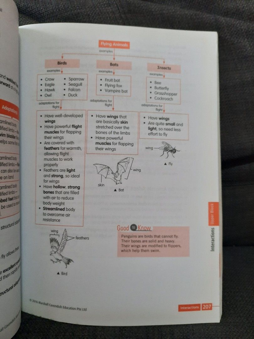 PSLE Science Revision Guide Primary 5 6 Pri P5 P6, Hobbies & Toys ...