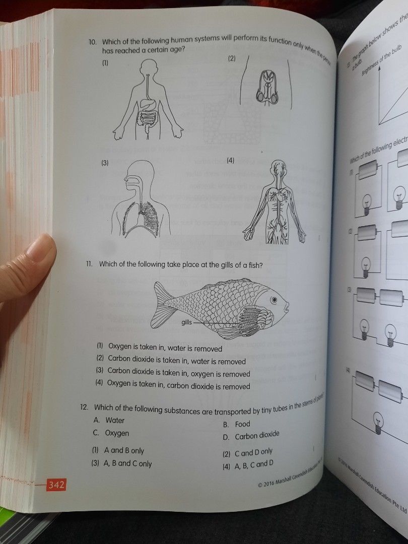 PSLE Science Revision Guide Primary 5 6 Pri P5 P6, Hobbies & Toys ...