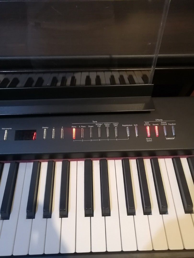 Roland FP-4 Digital Piano, Hobbies & Toys, Music & Media, Musical ...