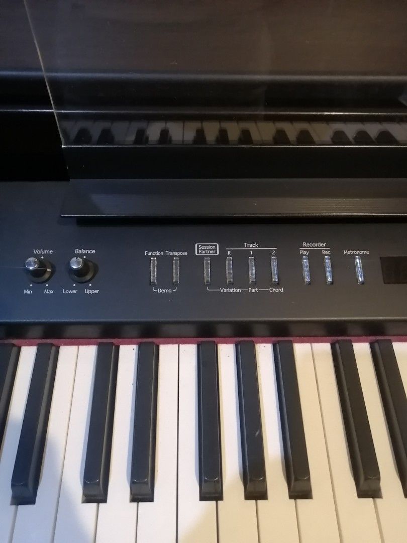 Roland FP-4 Digital Piano, Hobbies & Toys, Music & Media, Musical ...