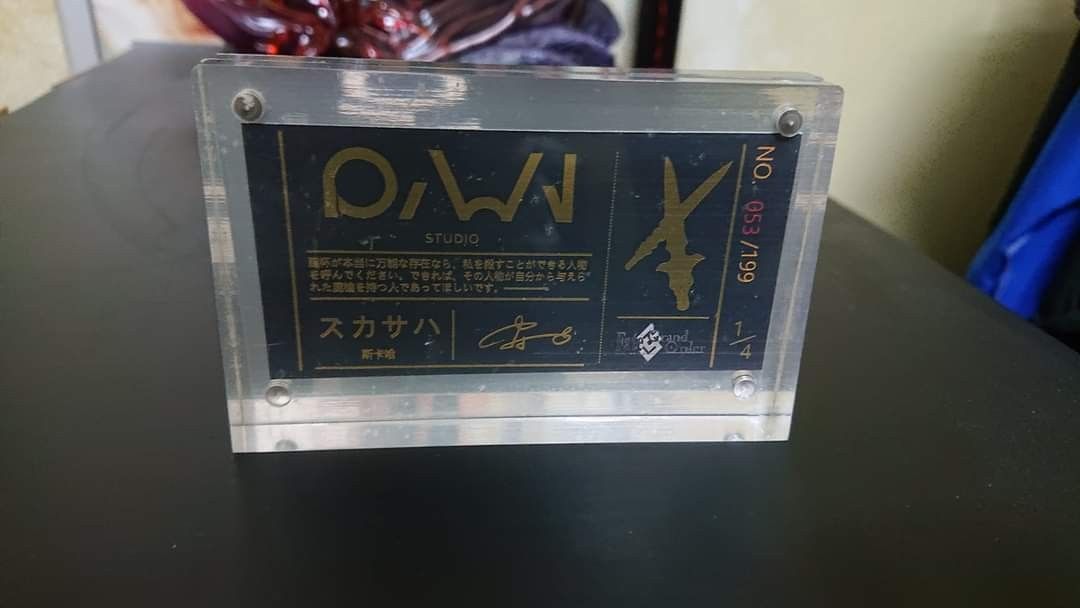 RWN Studio Fate Grand order Scathach GK Resin 1/4 Scale Statue, Hobbies ...