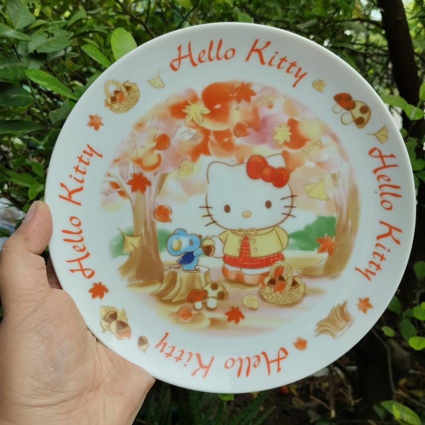SANRIO Hello Kitty Dinner plate on Carousell