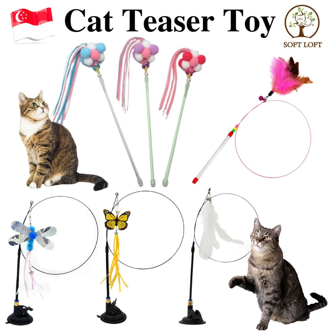【SG SELLER】Cat Teaser Kitty Toys Feather Long Rod Suction Cup Kitten ...