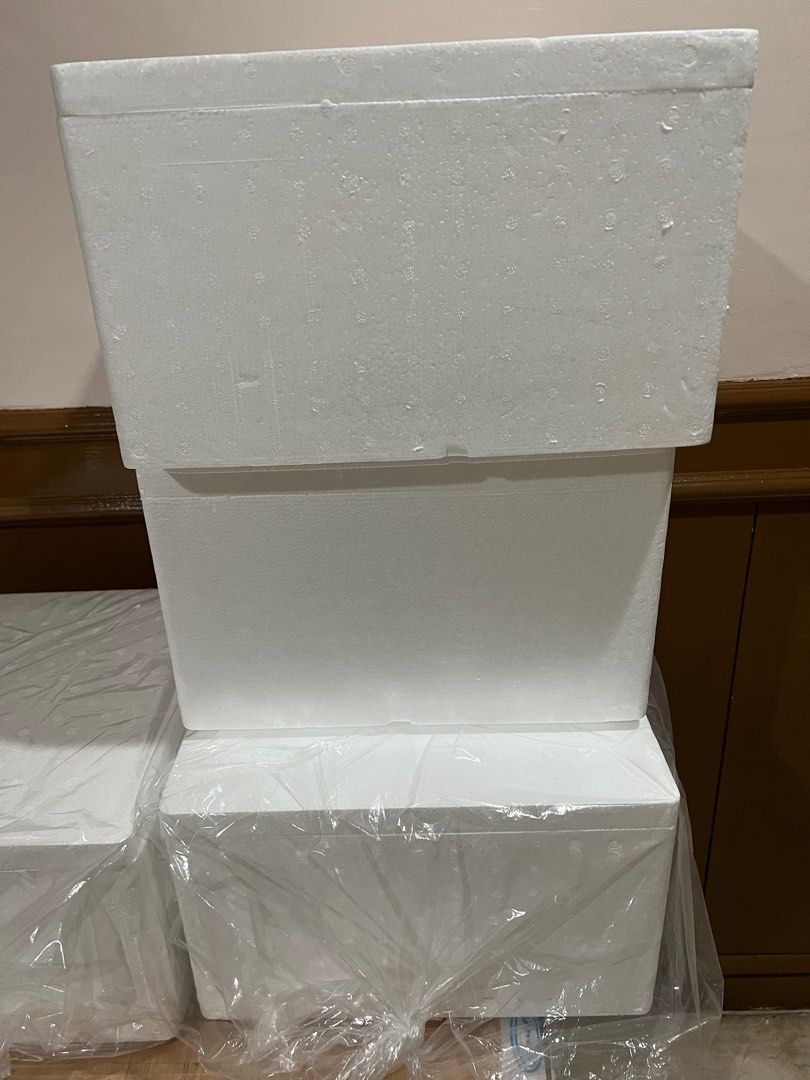 Styro Box (Hydrophonics For Beginners), Furniture & Home Living, Home ...