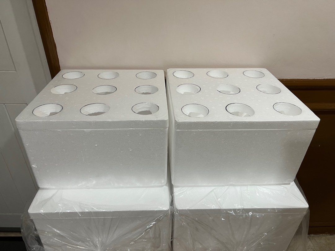 Styro Box (Hydrophonics For Beginners), Furniture & Home Living, Home ...