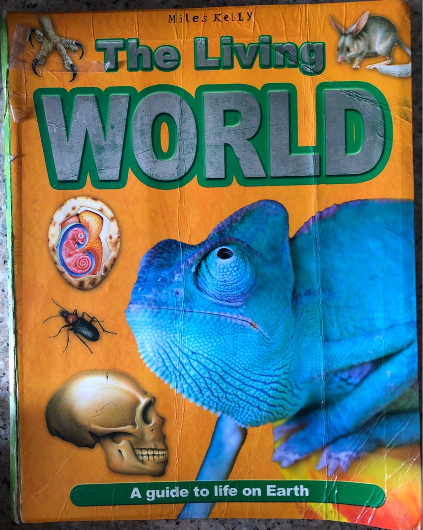 The Living World, Hobbies & Toys, Books & Magazines, Children's Books ...