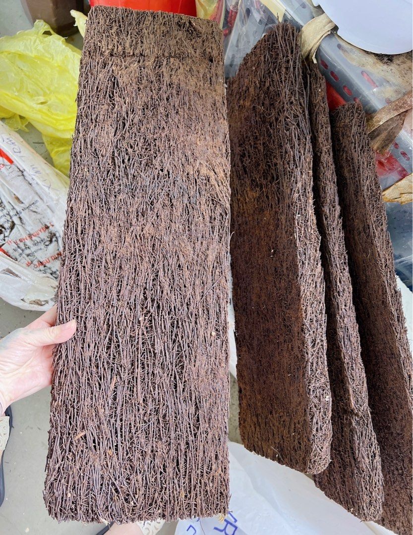 Tree Fern Fibre Board, Furniture & Home Living, Gardening, Plants ...
