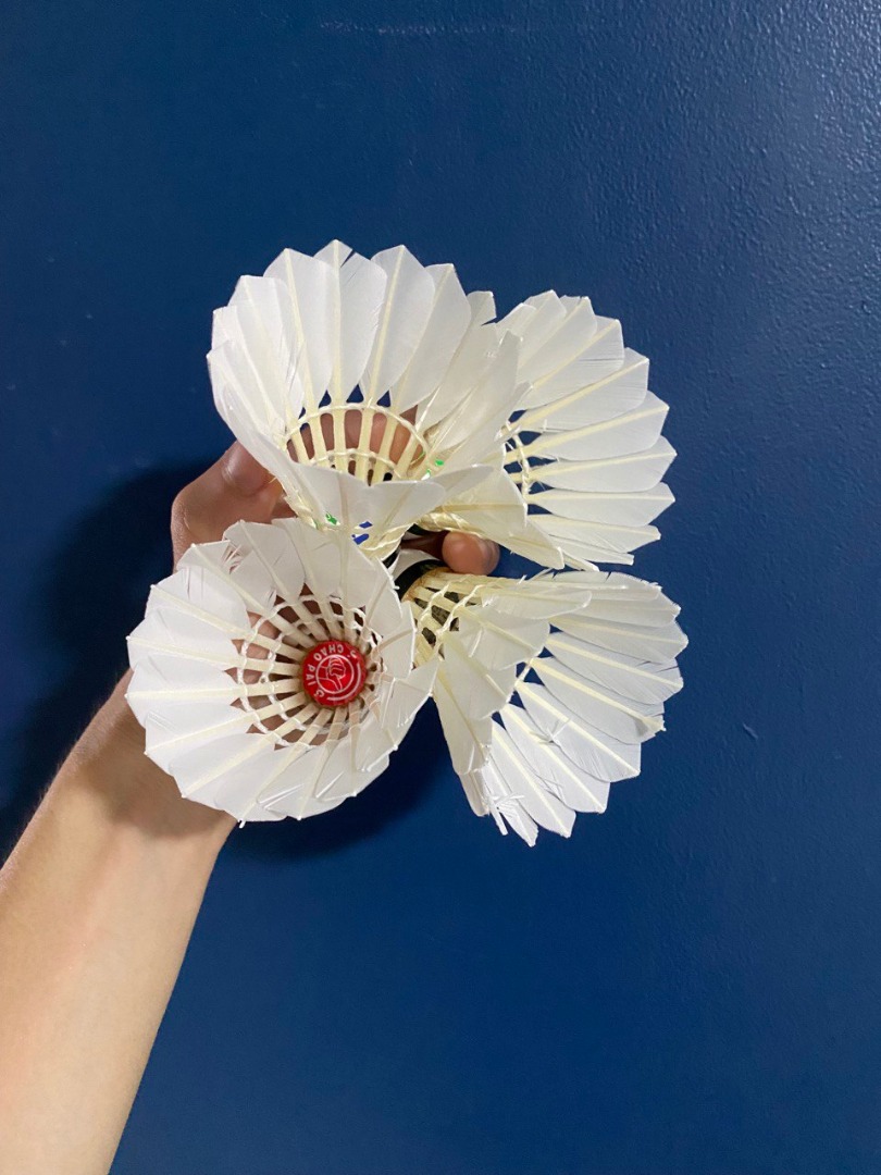 Badminton Training Shuttlecocks | Used Stroking Shuttlecock | Premium ...