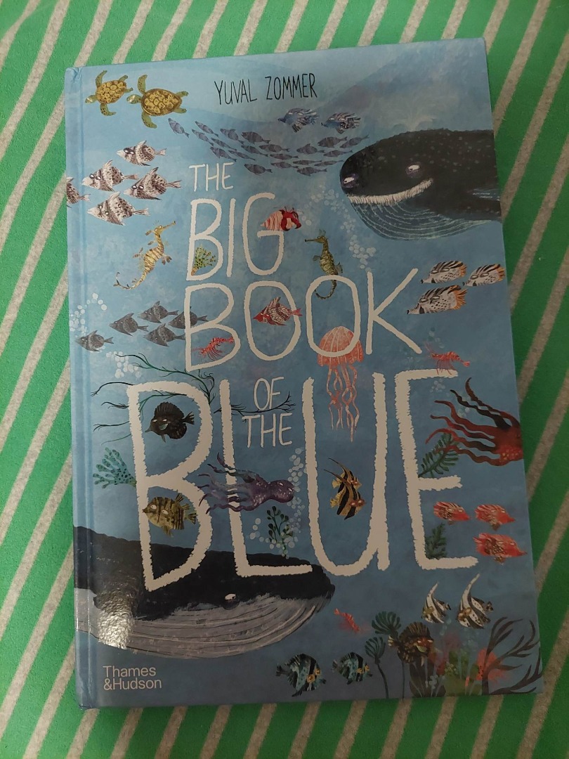 Big Blue Book, Hobbies & Toys, Books & Magazines, Children's Books on ...