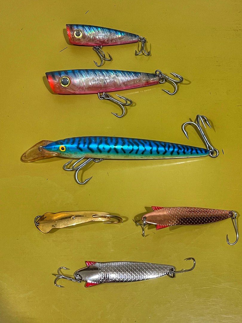 Fishing artificial lure, Sports Equipment, Fishing on Carousell