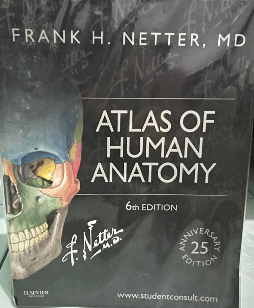 Netter's Atlas of Human Anatomy 6th edition, Hobbies & Toys, Books ...