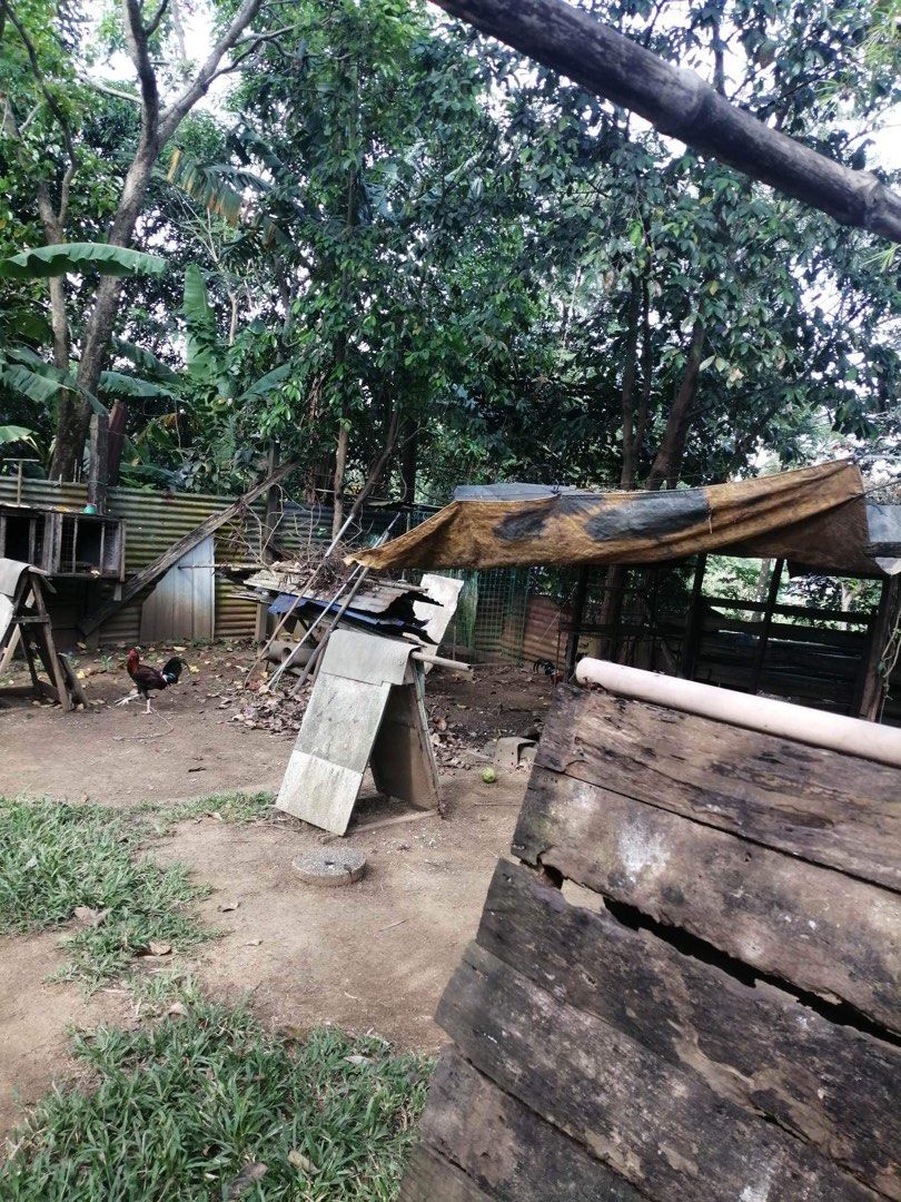 Residential Farm Lot in Dasma Cavite on Carousell