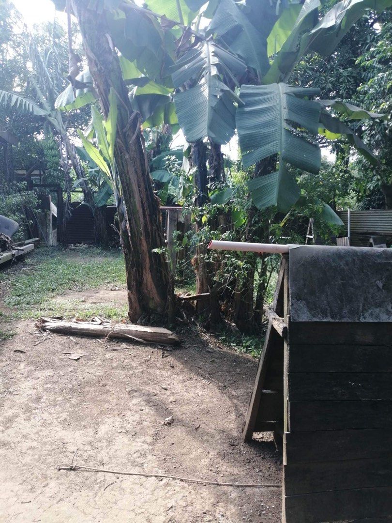 Residential Farm Lot in Dasma Cavite on Carousell