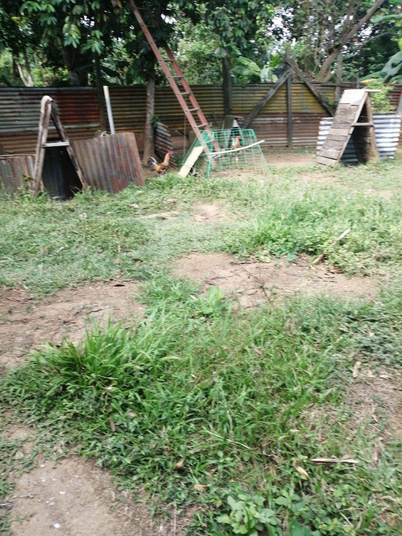 Residential Farm Lot in Dasma Cavite on Carousell