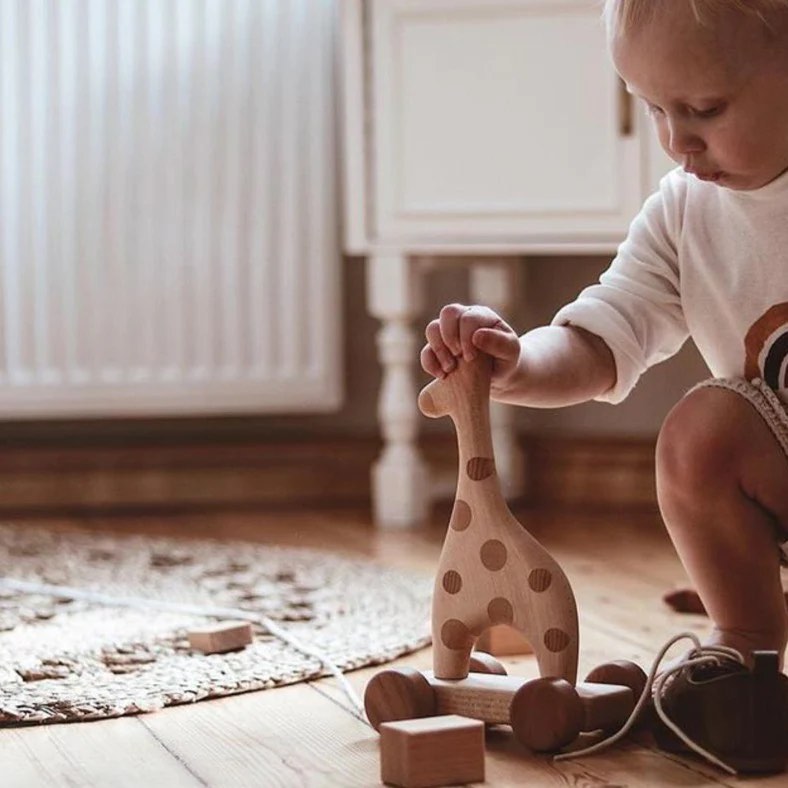 Tateplota Wooden Giraffe Pull Toy Montessori, Hobbies & Toys, Toys ...