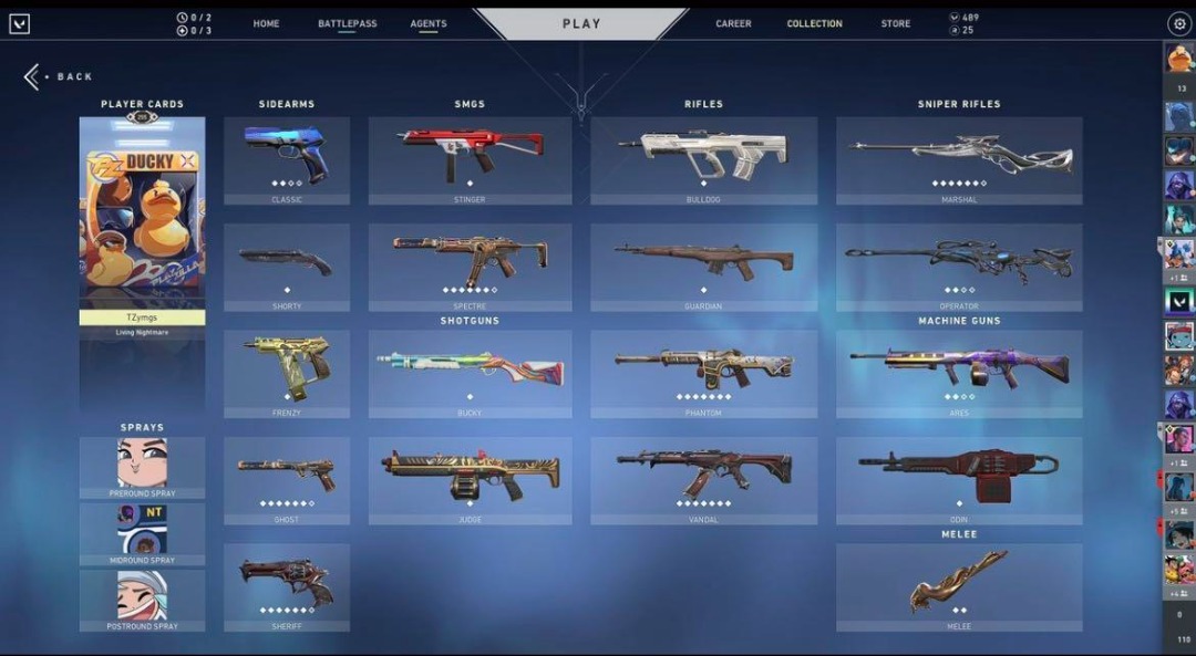 Valorant account (ascendant), Video Gaming, Gaming Accessories, Game ...