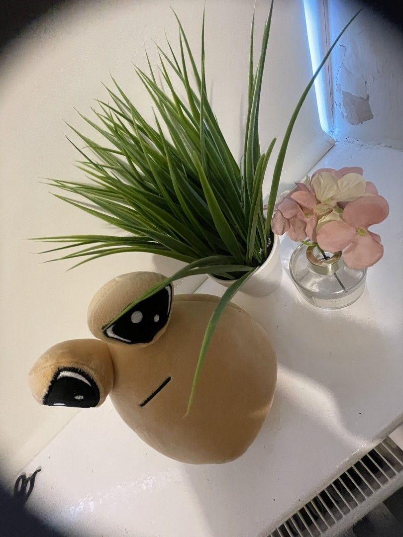 [wts incoming] Boys Planet Kamden Pou Plushie, Hobbies & Toys ...