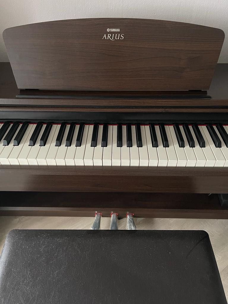 Yamaha Digital Piano - Model Arius, Hobbies & Toys, Music & Media ...