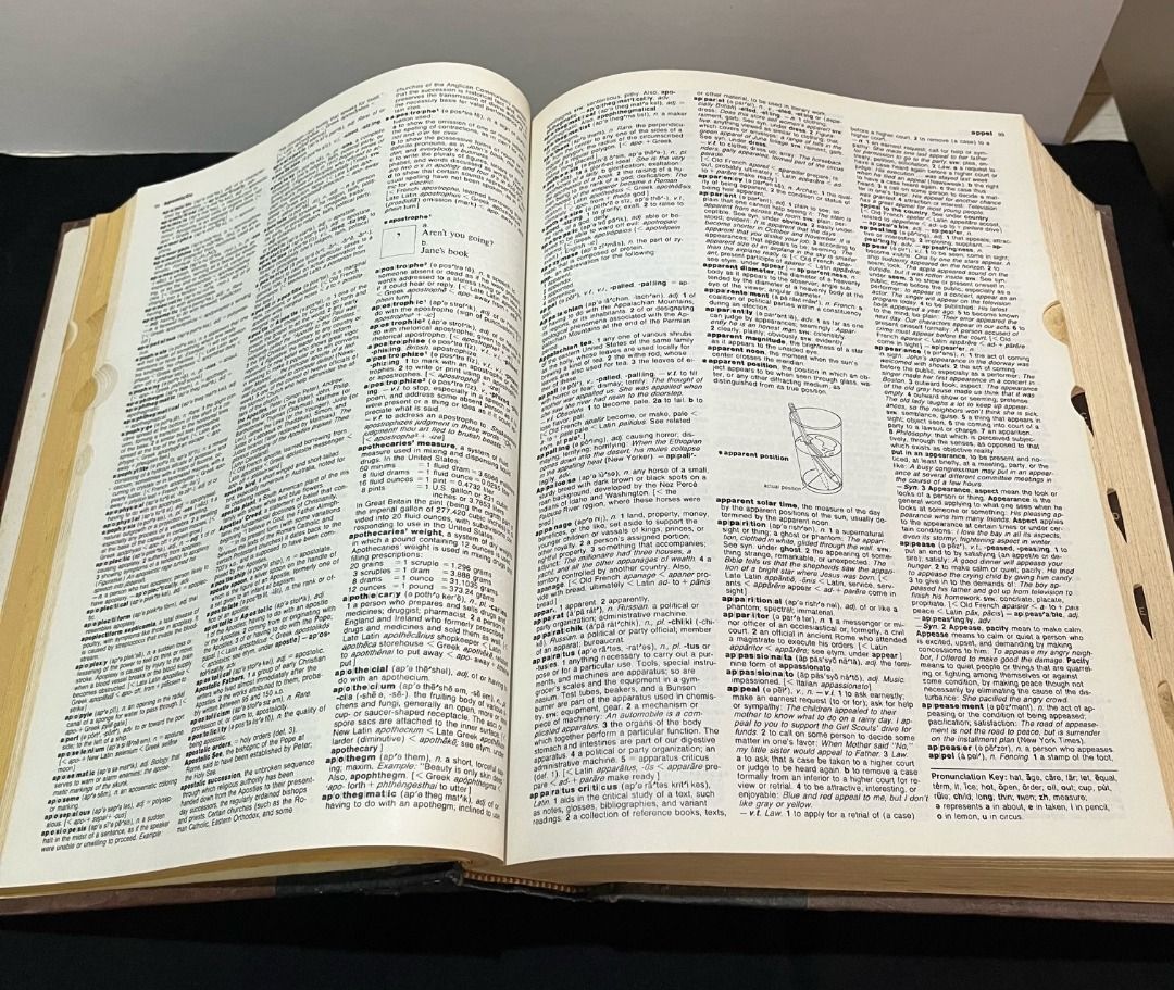 1978 Edition World Book Dictionary Volumes 1 & 2 on Carousell
