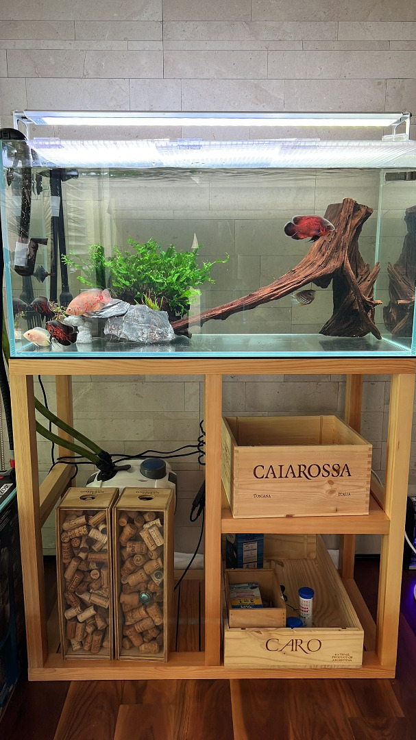 3ft Crystal Glass tank (10mm) with solid wood stand, light and external ...