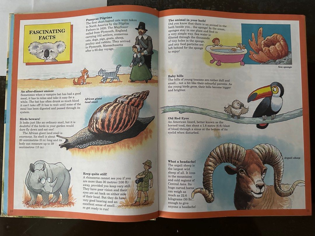 Amazing Animals of the World by Anne McKie and illustrated by Ken Mckie ...