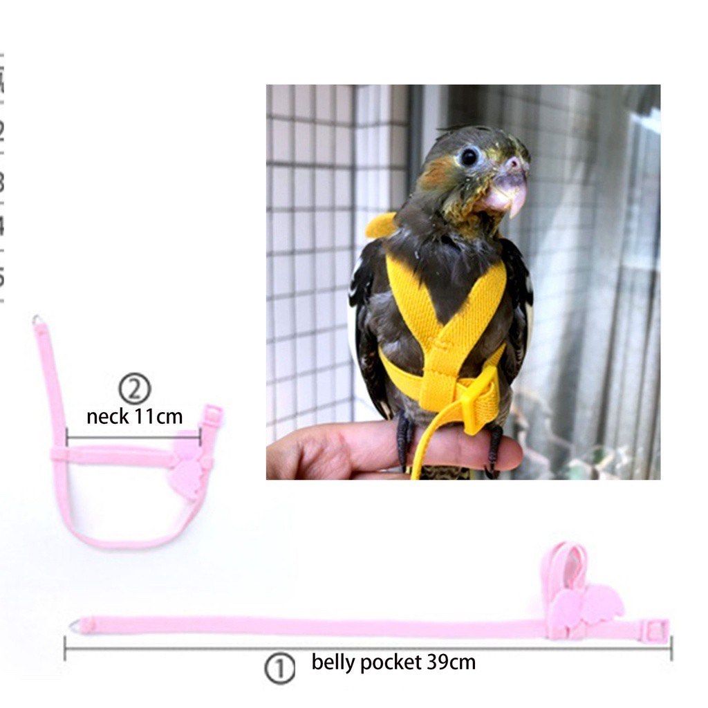 Cockatiel Harness Bird Leash, Pet Supplies, Homes & Other Pet ...