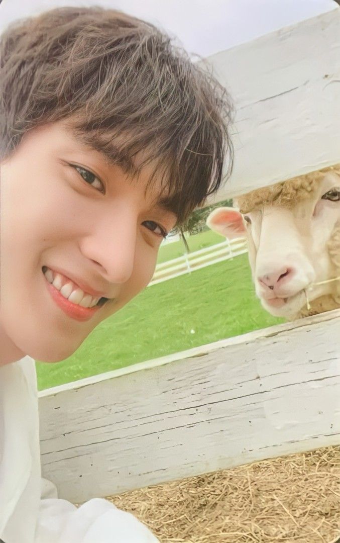 DK TUPA Social Club Da Capo PC, Hobbies & Toys, Memorabilia ...