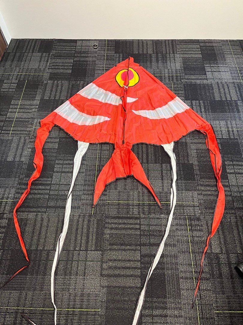 Kite, Sports Equipment, Sports & Games, Kites on Carousell