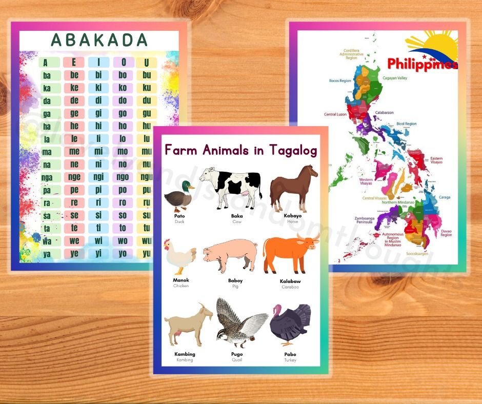 Laminated Educational Charts A4 size, Hobbies & Toys, Stationary ...