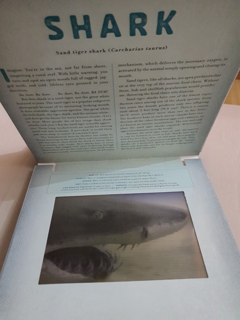 Ocean Photicular book, Hobbies & Toys, Books & Magazines, Children's ...